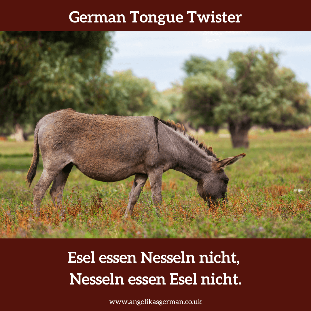 German Idioms and Tongue Twisters with the letter E - Angelika's German ...