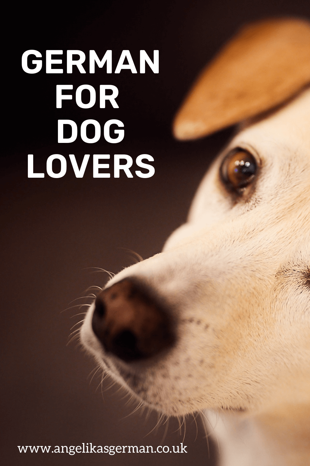 German for dog lovers - Angelika's German Tuition & Translation